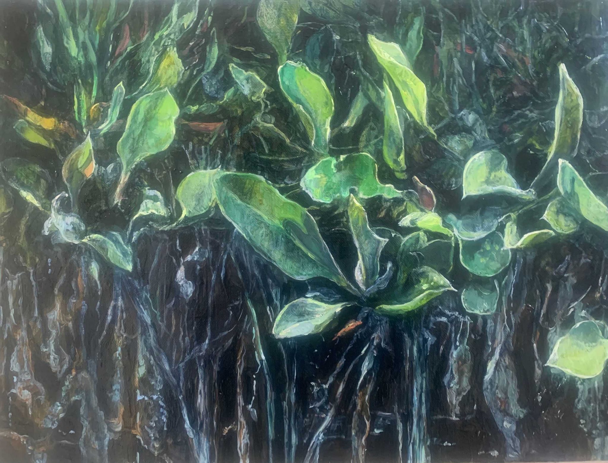 Judith Tucker - Contemporary British Painting