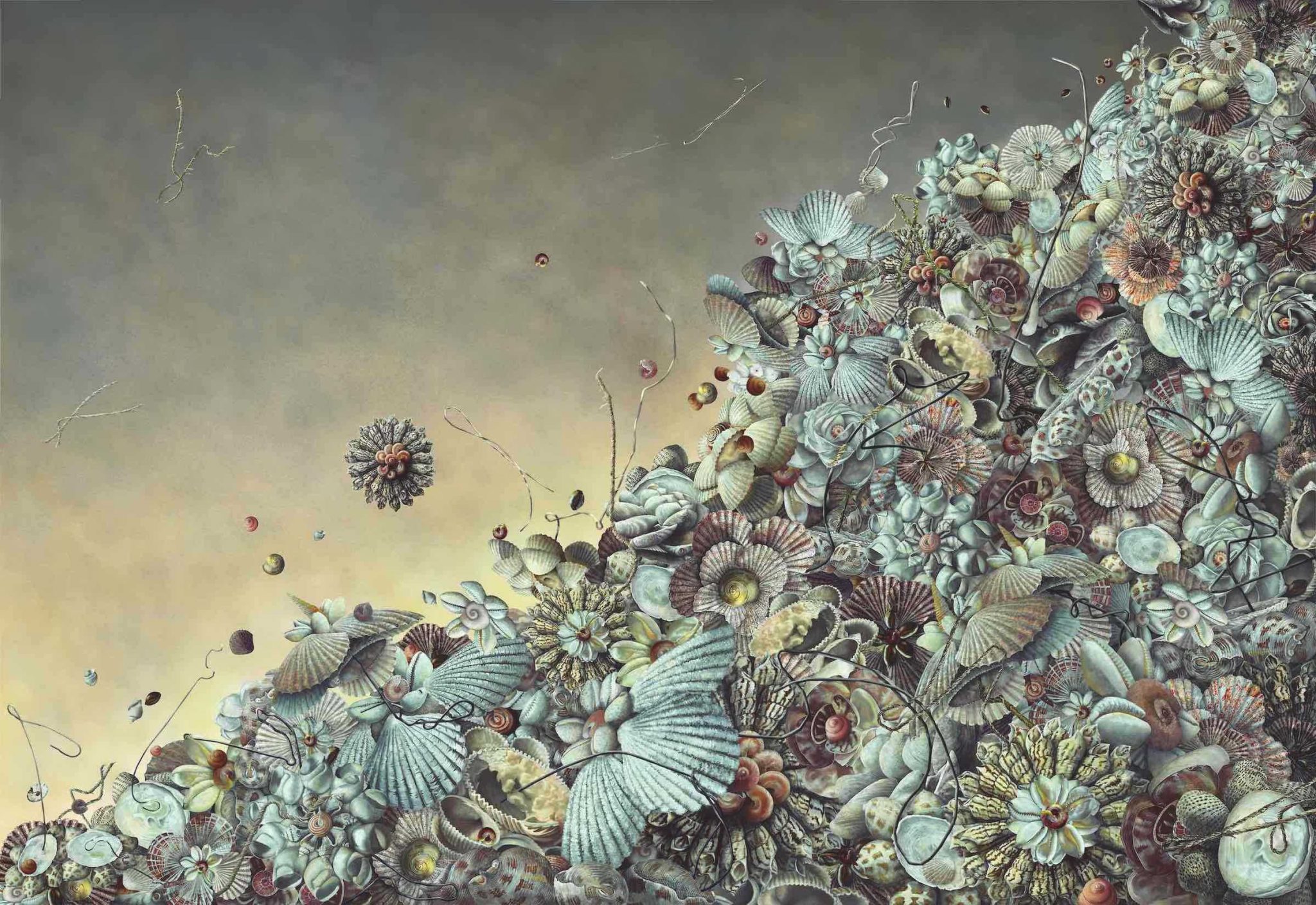 Frances Woodley plausible objects - Contemporary British Painting