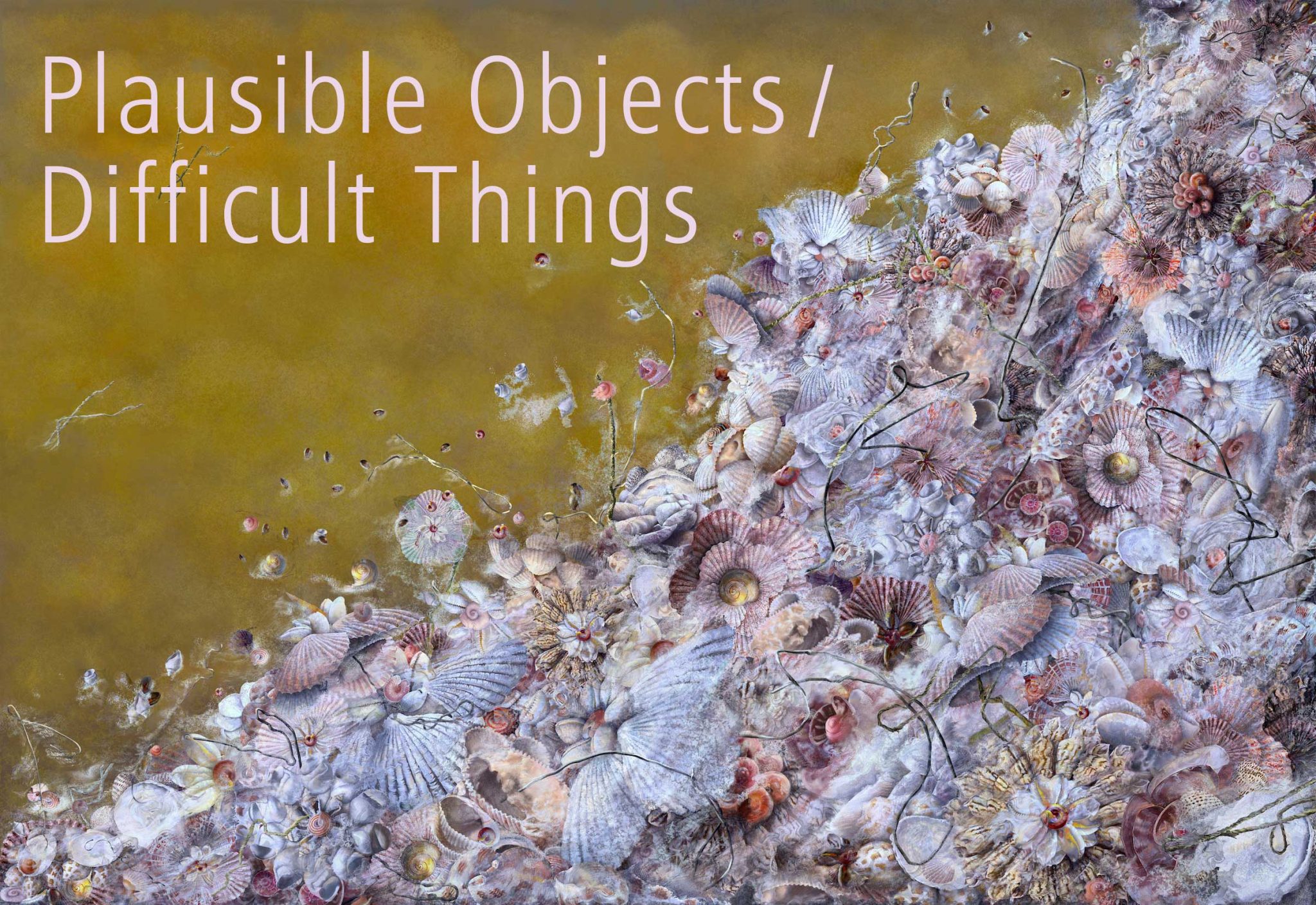 Plausible Objects / Difficult Things - Contemporary British Painting